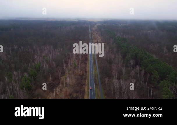 Aerial view of a straight road crossing a forest in winter with fog ...