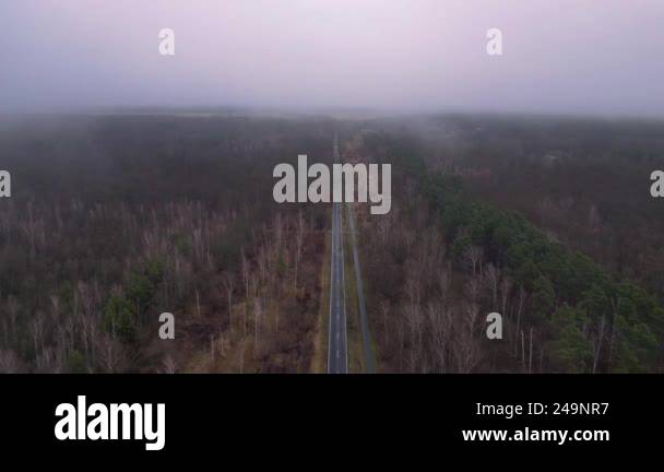Aerial view of a straight road crossing a forest in winter with fog ...