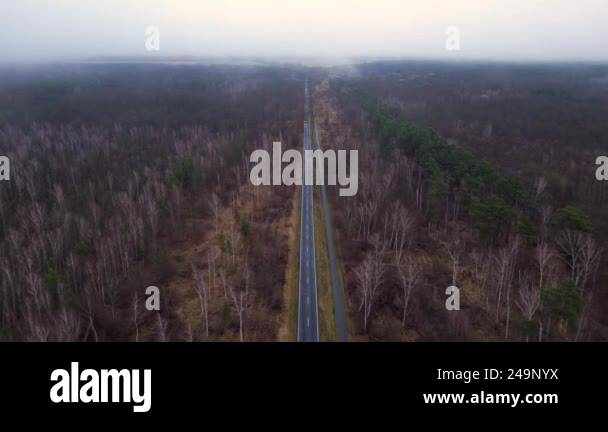 Aerial view of a straight road crossing a forest in winter with fog ...