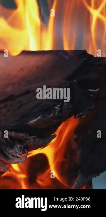 Burning fire. In the fire burn wood chips trees. Campfire camp fire ...