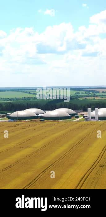 Modern bio farm surrounded by green nature. Innovative agriculture ...