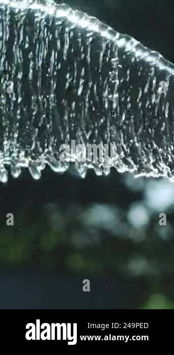 Stream of water spraying from garden hose, close up. Watering the green ...