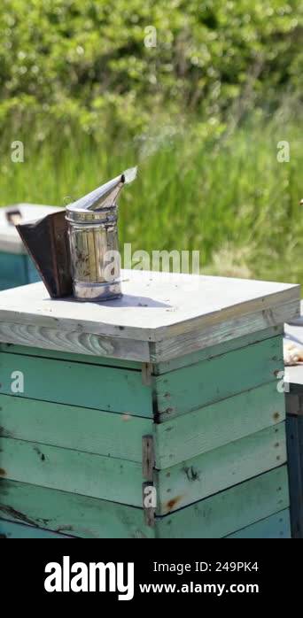 Smoker stands on a hive and smoking. Beekeeping and apiculture concept ...