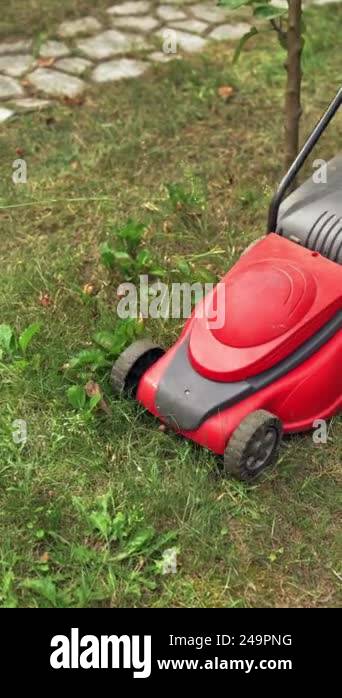 Woman is cutting lawn with grass mower. Gardener with electric lawn ...
