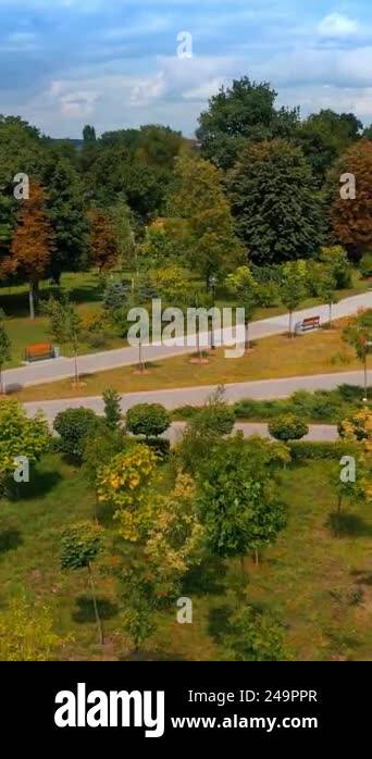 Well-kept green park with green trees on sunny clear day. City garden ...