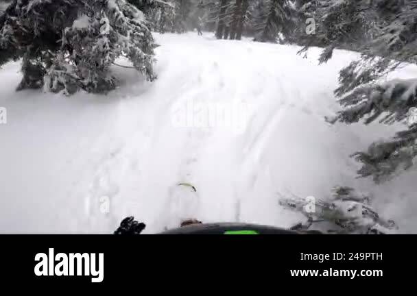 POV snowboard ride in the beautiful winter forest. Sportsman rides ...