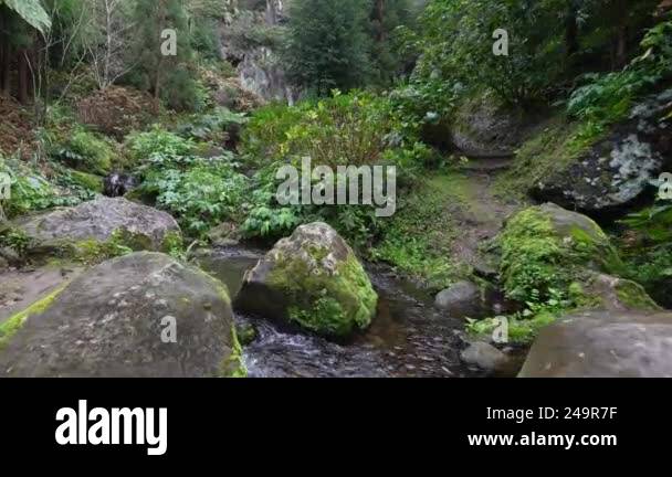 Walking path at the Azores island, Jungle green hiking trail. waterfall ...