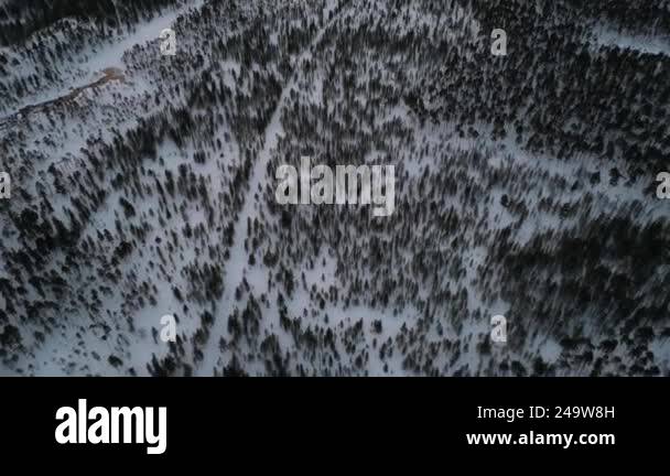 ice lapland winter aerial Inari Nellim frozen lakes and forest ...