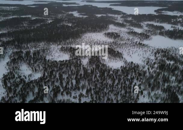 ice lapland winter aerial Inari Nellim frozen lakes and forest ...