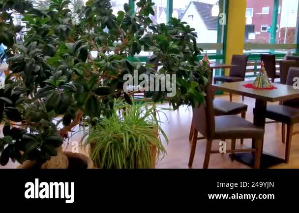 Lehe Bremerhaven Germany 24. December 2024 Organic supermarket and ...