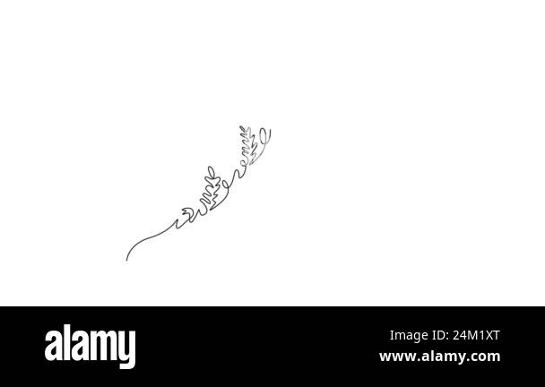 Self drawing animation of single line draw beauty fresh common heather ...