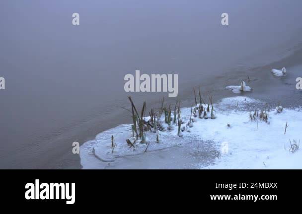 Serene winter scene of a frozen riverside, featuring snow-covered grass ...