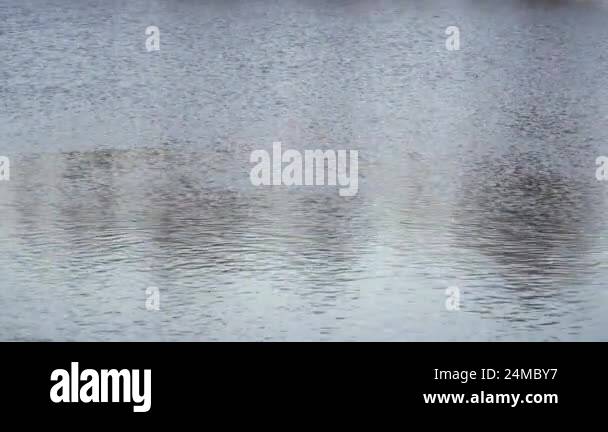 A tranquil water surface with small wavelets creating intricate ...