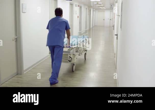 Rear view of a male nurse pushing empty gurney along a hospital ...
