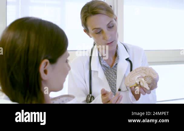 Neurologist holding a model of the human brain and explaining to the ...