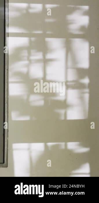 Light filtering through a window creates an interplay of shadows ...