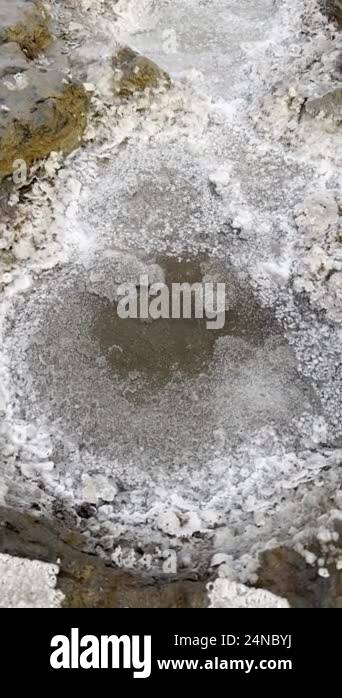 Salt crystals forming naturally on rock surface showcasing fascinating ...