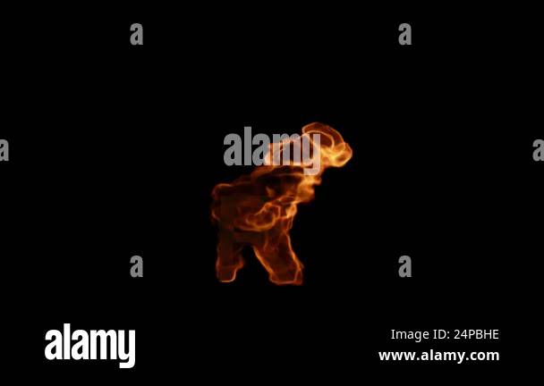 3d rendering of letter on fire simulation with alpha channel ...