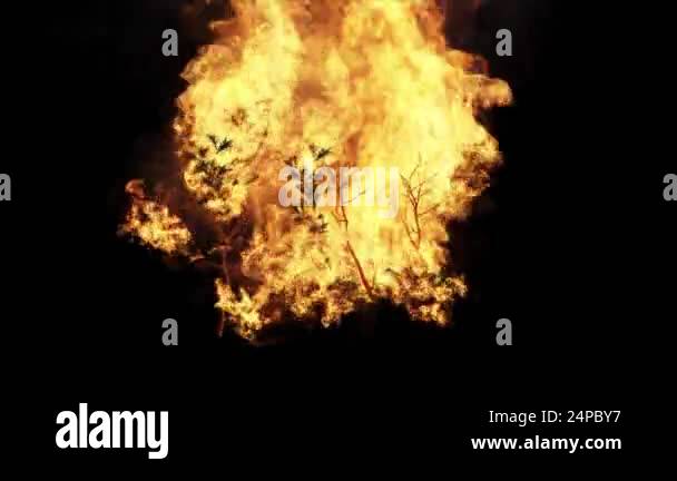 3d rendering of fire simulation with alpha channel (transparent ...