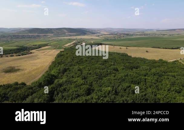 Scenic view of a green forest bordering cultivated fields in the ...
