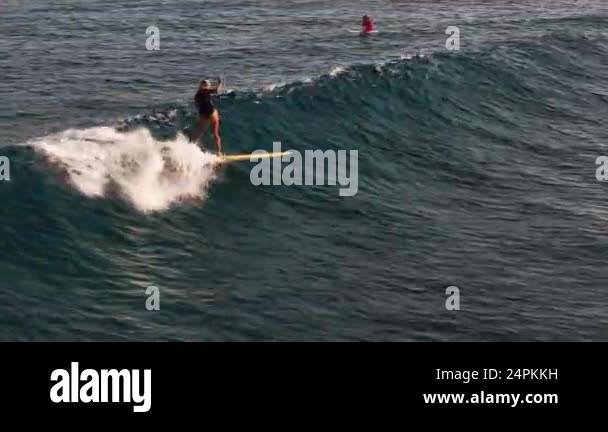 Wave surfing aerial. Woman surfs the wave in the Maldives Stock Video ...