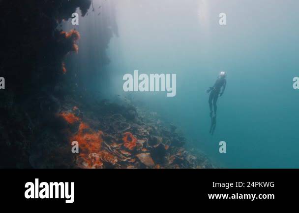 Freediver swimming gracefully alongside vibrant coral reef in clear ...
