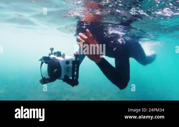 Underwater photographer filming marine life Stock Video Footage - Alamy