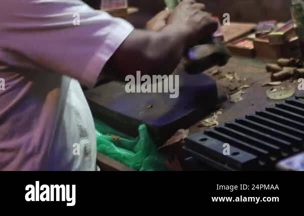 Milan, Italy 1 January 2025: Cigar maker skillfully rolling premium ...
