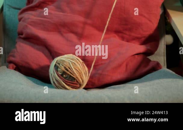 A yarn ball bounces and flips energetically on a cushioned chair as it ...