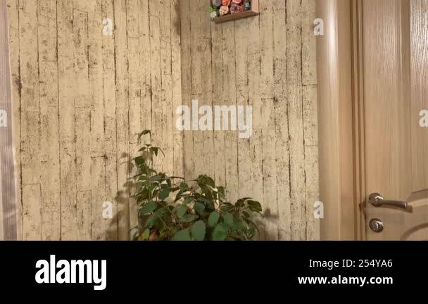 A young music teacher guides a child in learning to play the digital ...