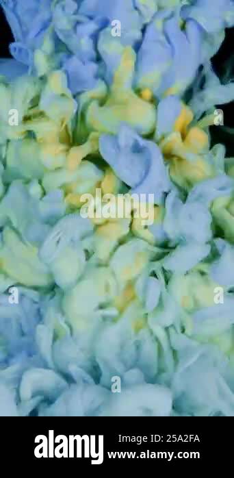 Dynamic visual impression Stock Videos & Footage - HD and 4K Video ...