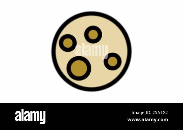 Modern cookie animated icon - foods, sweets, candy and junk food design ...