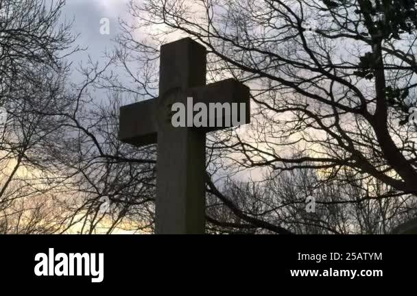 A serene cross framed elegantly by branches, evoking a sense of peace ...