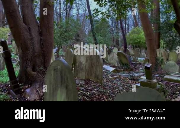 A peaceful and tranquil cemetery scene is enveloped by lush greenery along with weathered aged ...