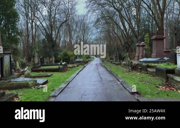 A tranquil pathway winds through a cemetery, framed by trees and gravestones, inviting deep ...