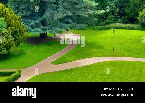 Pathways wind through lush green lawns, leading to a towering tree with ...