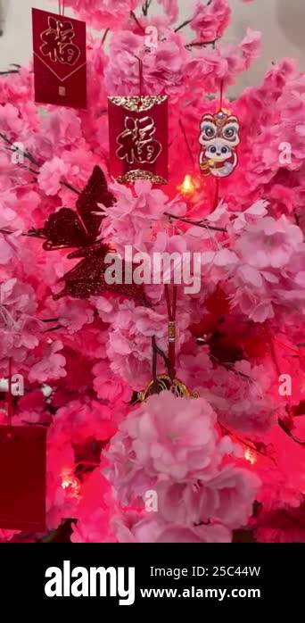 Chinese hanging ornaments on pink sakura cherry blossom tree with ...