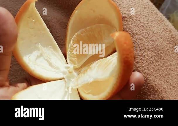 punjab famous and delious mosami malta closeup view Stock Video Footage ...