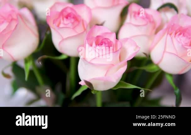 Beautiful pink roses bouquet, amazing roses, birthday, wedding ...