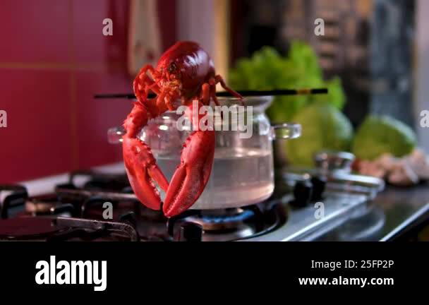 Lobsters in pot of boiling water begin to cook - close up as waves of ...