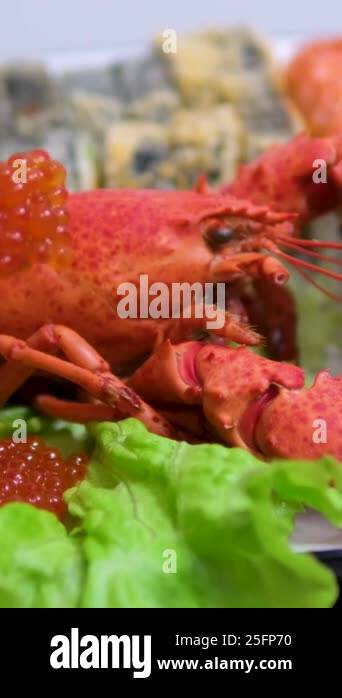 Lobster cancer crab seafood Stock Videos & Footage - HD and 4K Video ...