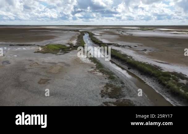 Tidal biodiversity Stock Videos & Footage - HD and 4K Video Clips - Alamy