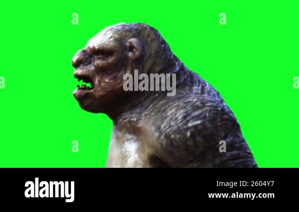 Big ugly scary troll, goblin walk . Horror mystic concept. Realistic green screen 4k animation ...