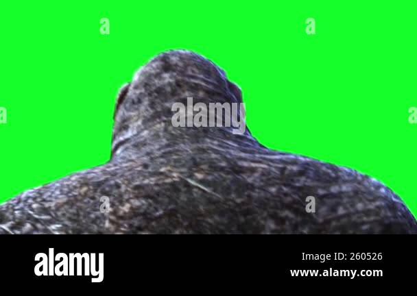 Big ugly scary troll, goblin walk . Horror mystic concept. Realistic green screen 4k animation ...
