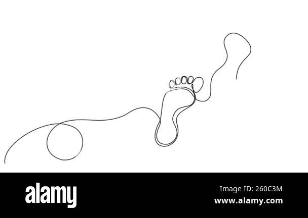 animated continuous single line drawing of footprints, line art ...