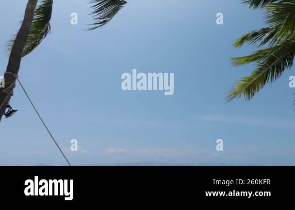 Rope swing tied between two palm trees on a white sandy beach with ...