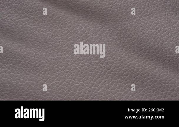 Texture of Light Gray Leather, Elite Background, Unique Design ...