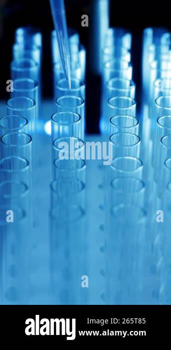 A scientist takes a sample with a pipette from a flask in a laboratory ...