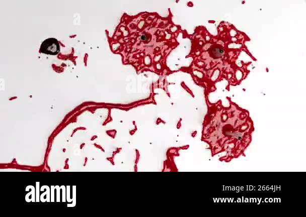 Movement of liquid of blood on a plain background. Liquid, wet, water ...