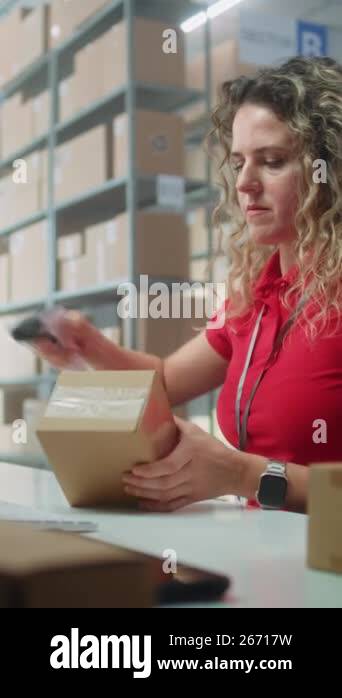 Female logistics specialist scans parcel using barcode scanner, checks data on computer. Sorting ...